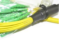 China SC/APC Fiber optic 24core pre-terminated patch cable for sale