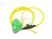 China SC/APC Fiber optic 24core pre-terminated patch cable for sale