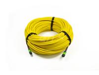 China MPO - MPO/MTP APC 6.0mm Single Mode 24 Core MPO Trunk Cable ISO9001 ROHS Approval for sale