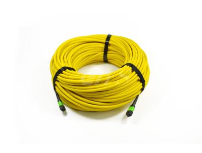 China MPO - MPO/MTP APC 6.0mm Single Mode 24 Core MPO Trunk Cable ISO9001 ROHS Approval for sale