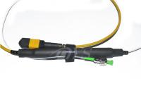 China MTP 8ch PLC Splitter 0.9 mm cord 50cm with FC/APC connector for sale