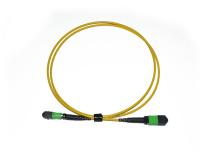 China 9/125 OS2 Singlemode MTP/MPO Fiber Patch Cable - 12 Fiber for sale