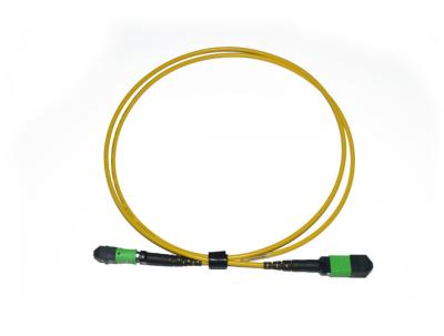 China 9/125 OS2 Singlemode MTP/MPO Fiber Patch Cable - 12 Fiber for sale