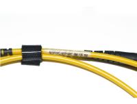 China 9/125 OS2 Singlemode MTP/MPO Fiber Patch Cable - 12 Fiber for sale