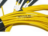 China 40G 8 Fiber Singlemode MPO/MTP to FC Ribbon Ruggedized cable for sale