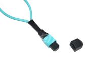 China OM3 24 Fiber Optical Loopback MPO/MTP For Telecom / CATV Systems for sale