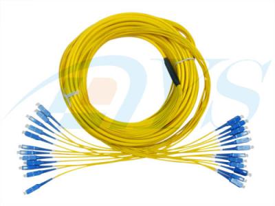 China High Fiber Density Optical Fiber Patch Cord Single Mode 4 - 48 Cores Ribbon / Bundle Pigtail for sale