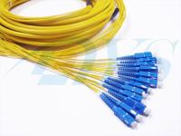 China High Fiber Density Optical Fiber Patch Cord Single Mode 4 - 48 Cores Ribbon / Bundle Pigtail for sale