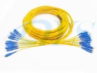 China High Fiber Density Optical Fiber Patch Cord Single Mode 4 - 48 Cores Ribbon / Bundle Pigtail for sale
