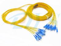 China High Fiber Density Optical Fiber Patch Cord Single Mode 4 - 48 Cores Ribbon / Bundle Pigtail for sale