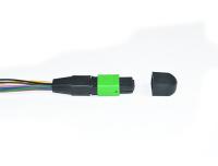 China Elite - SC MPO/MTP Single Mode Fan Out Cable Assembly PC Polish for sale