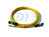 China Fiber Ribbon Optical Fiber Patch Cord FTTH Pigtail For CATV Systems for sale