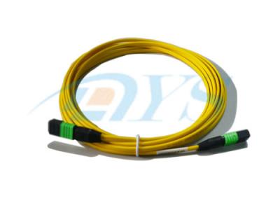 China Fiber Ribbon Optical Fiber Patch Cord FTTH Pigtail For CATV Systems for sale