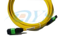 China Fiber Ribbon Optical Fiber Patch Cord FTTH Pigtail For CATV Systems for sale