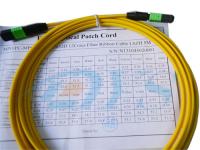 China Fiber Ribbon Optical Fiber Patch Cord FTTH Pigtail For CATV Systems for sale