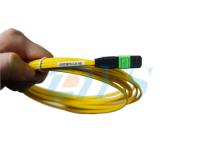 China Fiber Ribbon Optical Fiber Patch Cord FTTH Pigtail For CATV Systems for sale