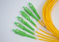 China 2*4 PLC Optical Signal Splitter Bend Insensitive G657A Fiber For High Density Areas for sale