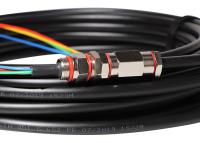 China 2 4 6 8 12 24 36 Core Outdoor Waterproof Armoured Fiber Optic Pigtail for sale