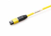 China 3.0mm 12F MPO Female Fiber Optical Pigtail Single Mode for sale