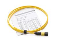 China 3.0mm 12F MPO Female Fiber Optical Pigtail Single Mode for sale