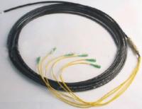 China PE.LSZH,OFNP Cable Optical Fiber Patch Cord Application CATV, LAN And Communication System for sale