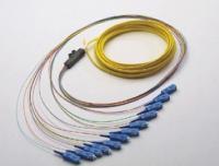 China Optical Fiber Patch Cord Pigtail 1, 4, 6, 8, 12, 24, 36, 72, Fibers Bunch Fan-out Splitter for sale