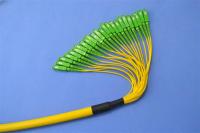 China Ribbon / Bundle SC,FC,ST,LC Optical Fiber Patch Cord With 0.9, 2.0, 3.0 Fanout Available for sale