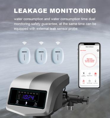 China IMRITA 3 Ton Water Softener Control Valve IMT-P-EV8 with 1