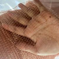 China 0.17mm Pure Copper Screen Wire Mesh For Mice Control Hole Size Customized for sale