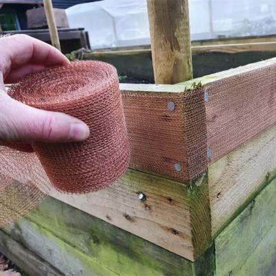 China 10M Copper Mouse Mesh Knitted Copper Mesh For Plants Easy Install for sale