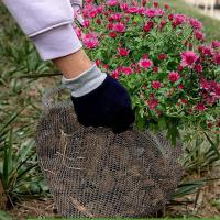 China Corrosion Resistant Gopher Wire Baskets Root Guard For Preventing Moles for sale