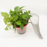 China Stainless Steel Gopher Wire Baskets Reliable Solution For Crop Protection for sale
