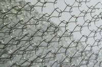 China Stainless Steel Wire Mesh Liquid Filter Elements 304/316 100mm for Demister Applications for sale