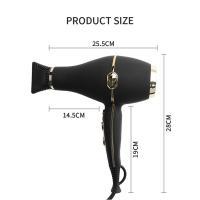 China Professional AC and DC Motor 2300W Durable Hair Dryer 110V / 220V for sale
