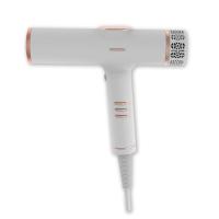 China Negative Ion Brushless Hair Dryer T Shaped Style High Speed Professional For Salons for sale