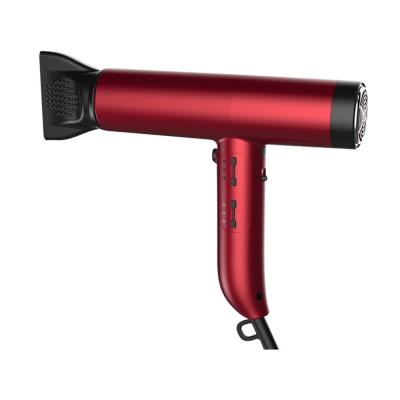 China Low Noise BLDC Hair Dryer Small Lightweight High Speed Blow Dryer For Beauty Salon for sale