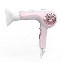 China Professional Brushless Motor Ionic Hair Blow Dryer With Diffuser Magnetic Nozzles for sale