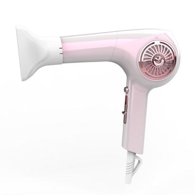 China Professional Brushless Motor Ionic Hair Blow Dryer With Diffuser Magnetic Nozzles for sale
