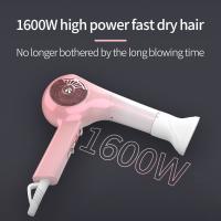 China Professional Brushless Motor Ionic Hair Blow Dryer With Diffuser Magnetic Nozzles for sale
