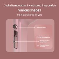 China Professional Brushless Motor Ionic Hair Blow Dryer With Diffuser Magnetic Nozzles for sale