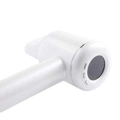 China T Type BLDC Motor Hair Dryer High Speed Slim Ionic Hair Blow Dryer for sale