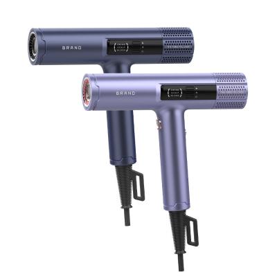 China Leafless Negative Ion High Speed Hair Dryer BLDC Motor 2 Speed Settings for sale