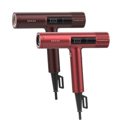 China High Speed Negative Ion Hair Dryer Quick Drying Low Noise Hot Air Hair Dryer for sale
