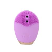 China Wireless 2.4W Electric Facial Cleansing Brush 5Volt electric face washer for sale