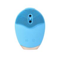 China Wireless 2.4W Electric Facial Cleansing Brush 5Volt electric face washer for sale
