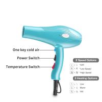 China Portable 2300 Watt  Negative Ion Hair Dryer 220Volt Salon Hair Blow Dryer for sale