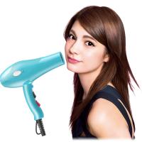 China Portable 2300 Watt  Negative Ion Hair Dryer 220Volt Salon Hair Blow Dryer for sale