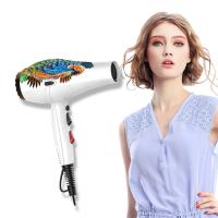 China Multifunctional 2100W 2 Speed AC Hair Dryer Private Label Portable Blow Dryer for sale