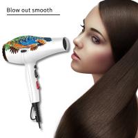 China Multifunctional 2100W 2 Speed AC Hair Dryer Private Label Portable Blow Dryer for sale