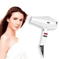 China 2.75M Power cord 2100W AC Hair Dryer for sale